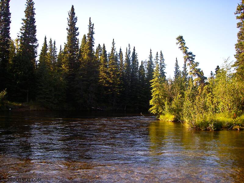The Delta Clearwater River, Alaska