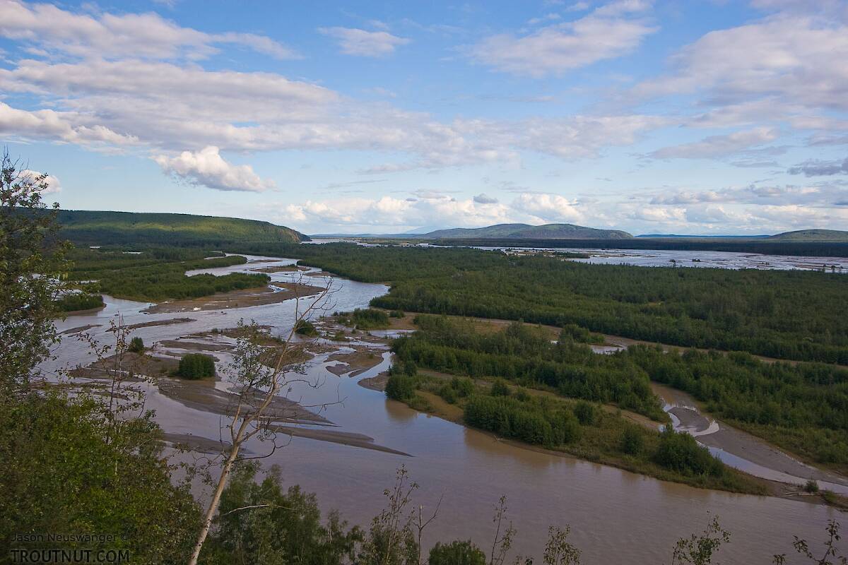 The Tanana River, Alaska