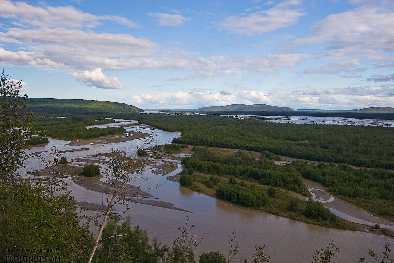 The Tanana River, Alaska