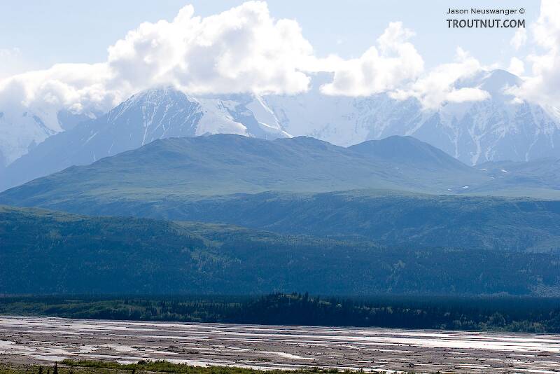 The Delta River, Alaska