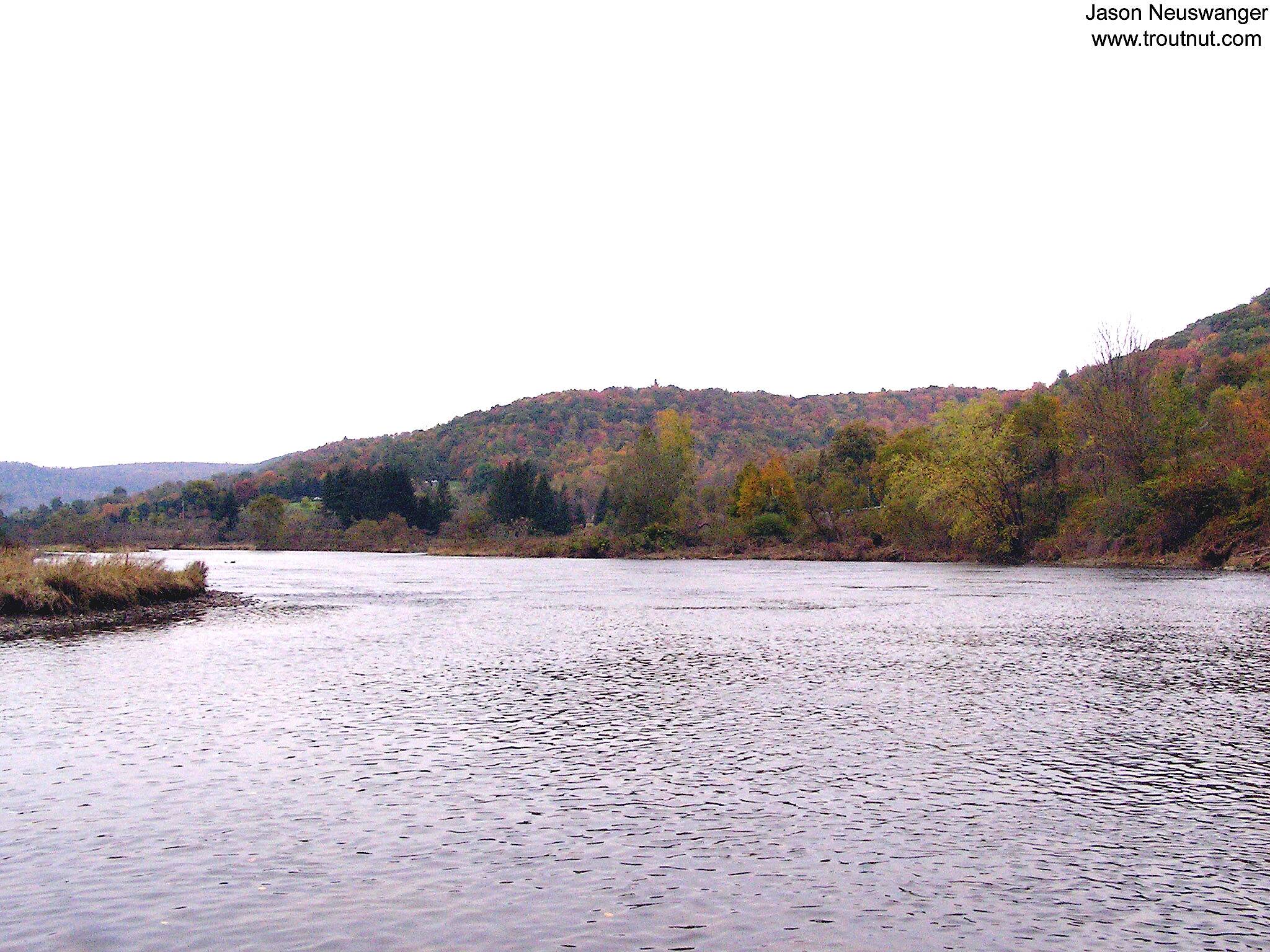 The West Branch of the Delaware River, New York