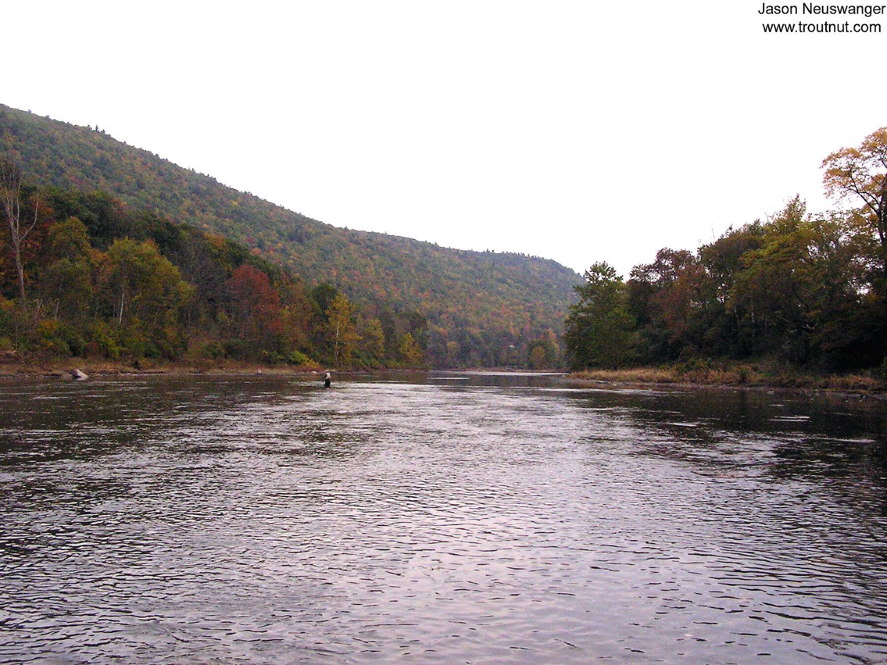 The West Branch of the Delaware River, New York