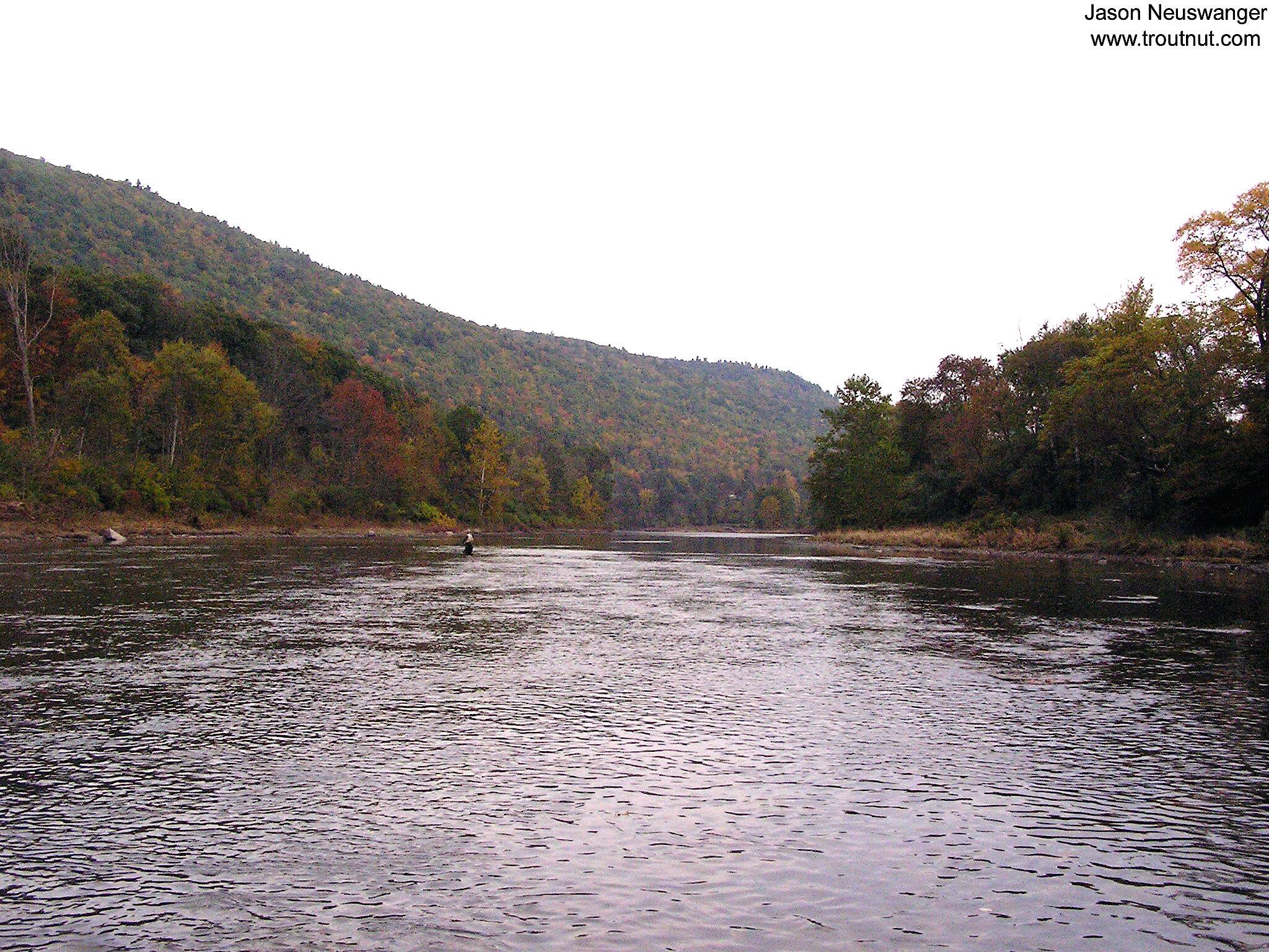 The West Branch of the Delaware River, New York