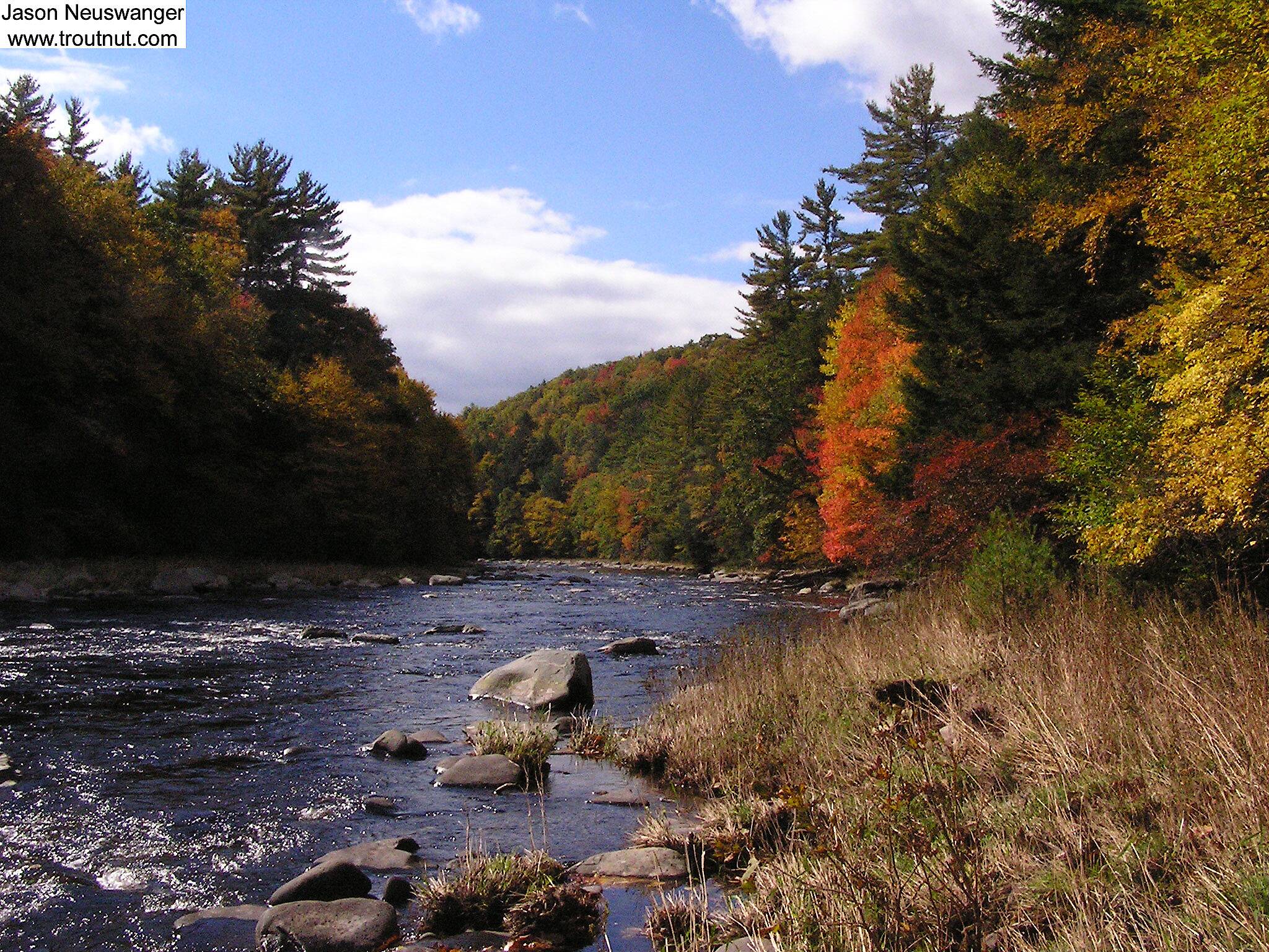 The Neversink River, New York