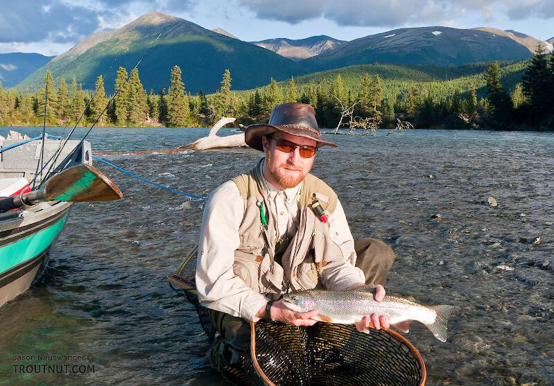Kenai River trout & dolly fishing from a drift boat