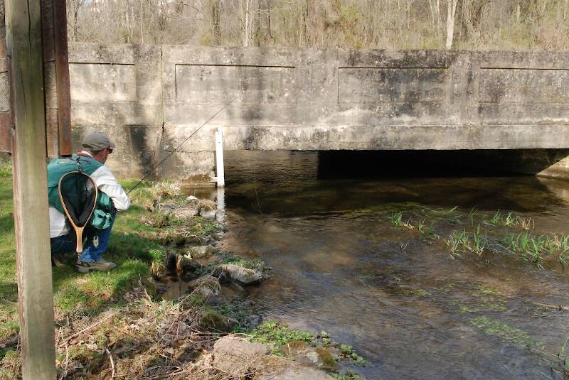 A Day on the Letort