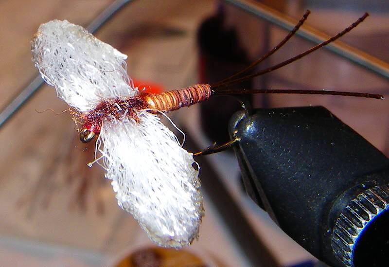 A cool Hendrickson spinner pattern maybe