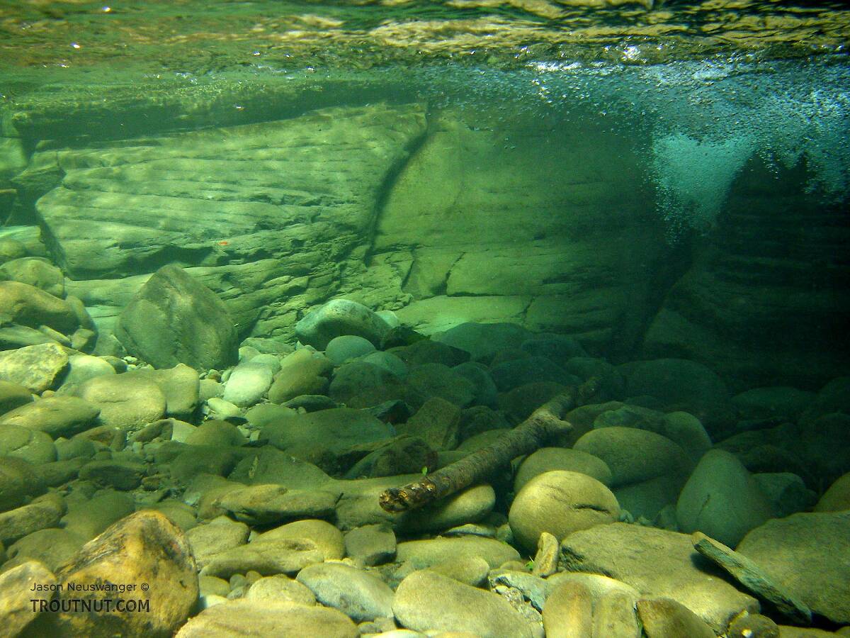 Underwater River Scenery Pictures