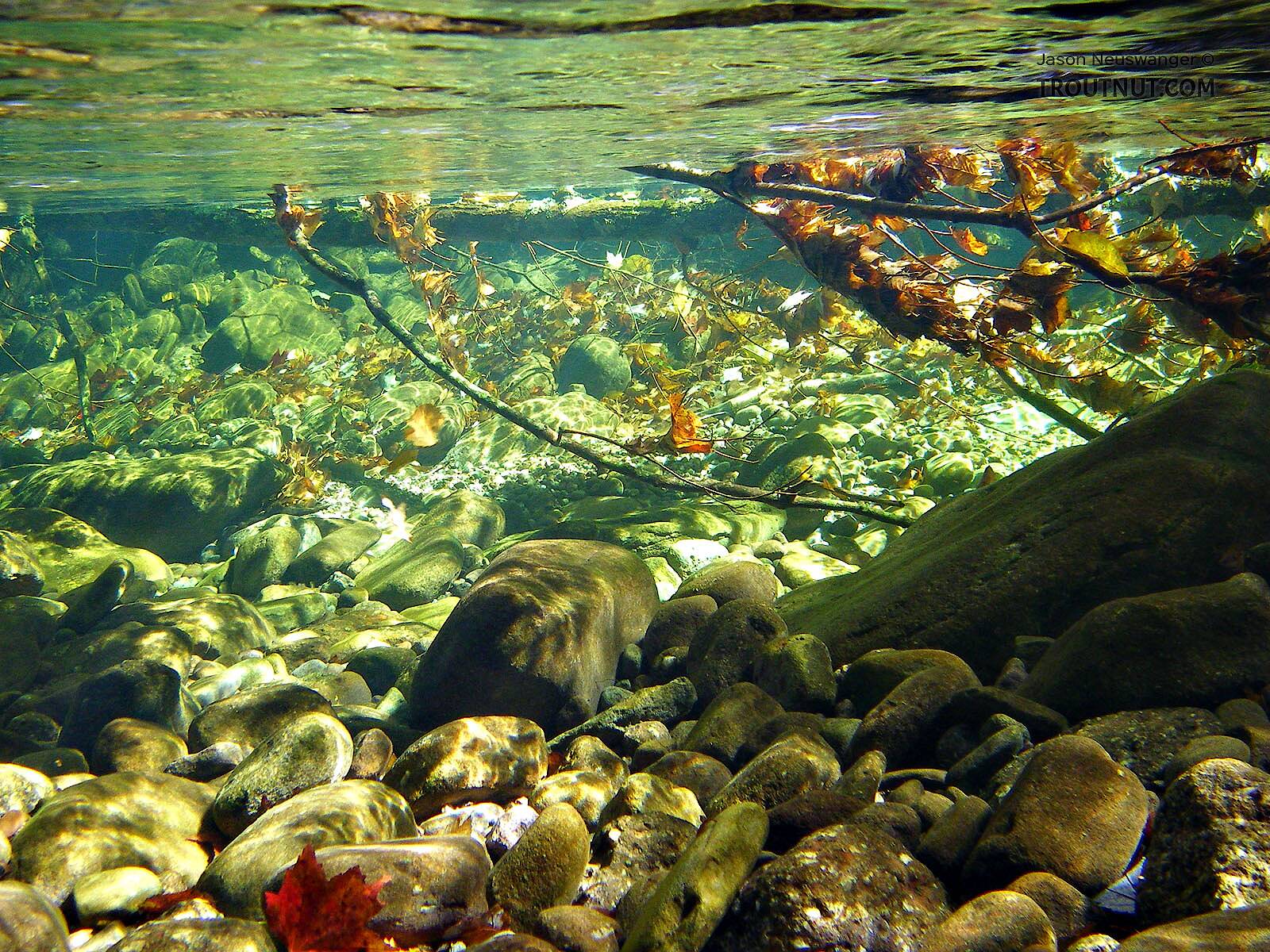 Underwater River Scenery Pictures