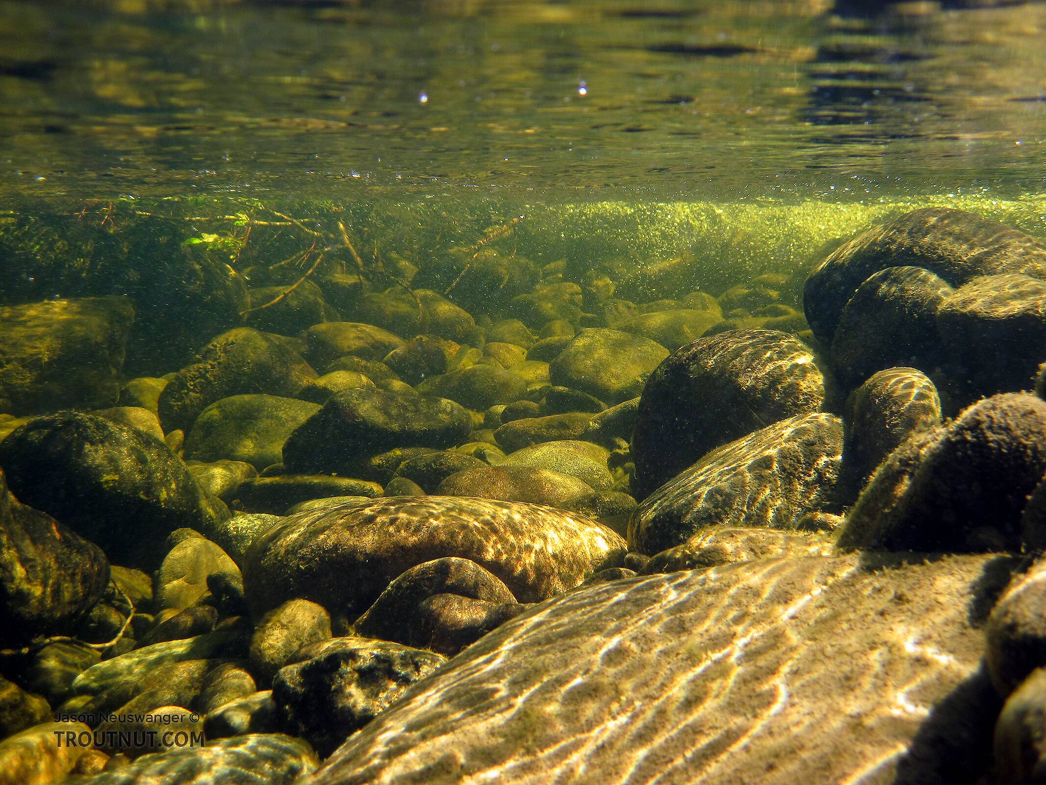 Small-stream brook trout in Alaska? Not exactly...