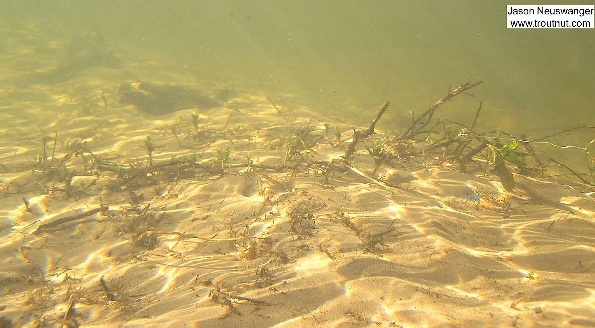 Underwater River Scenery Pictures, Page 2